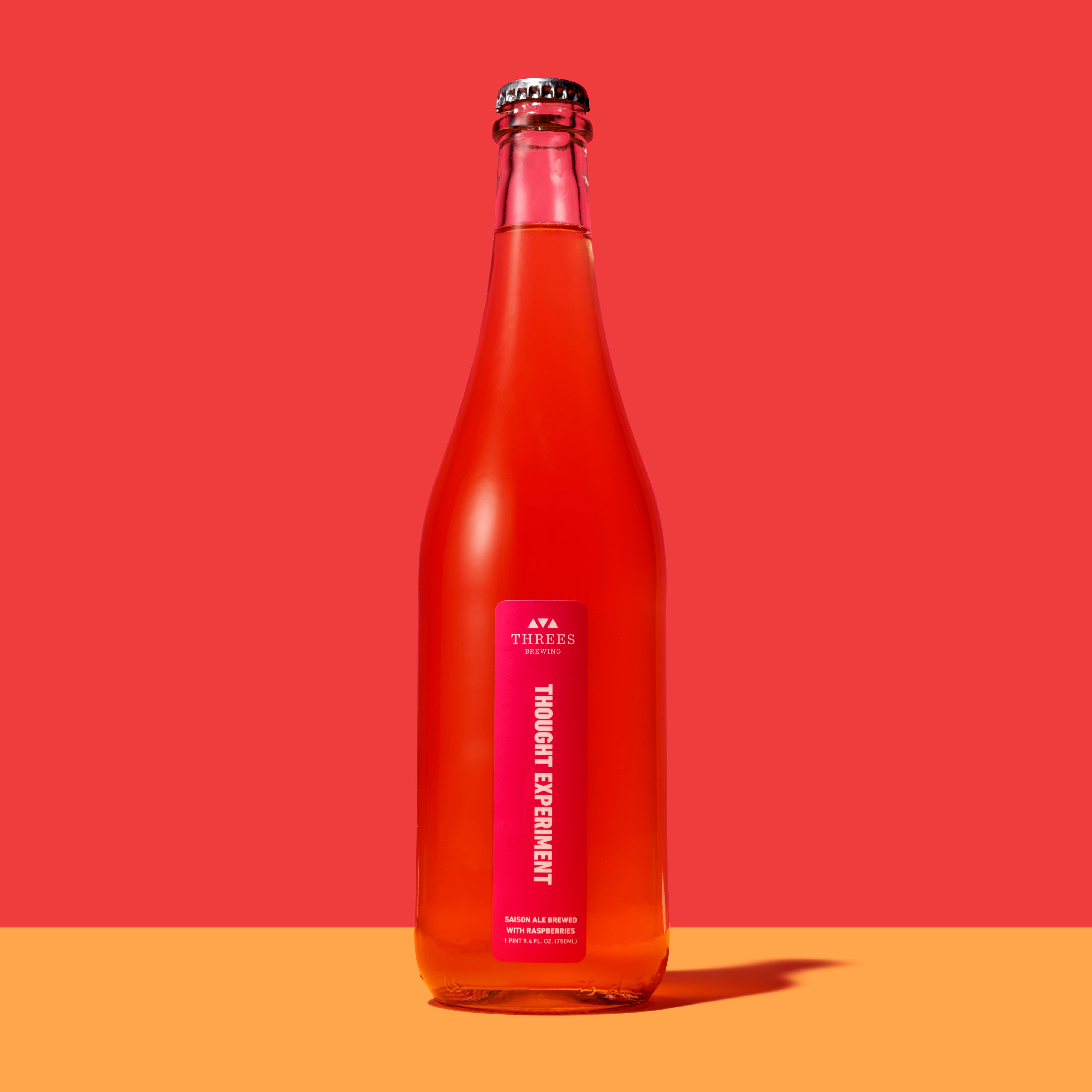 Thought Experiment Raspberry Saison Ale 750ml Threes Brewing